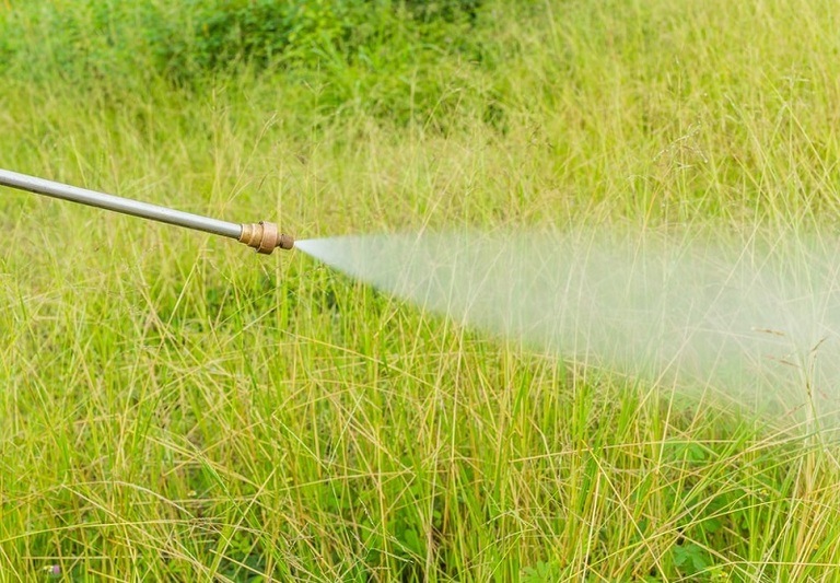 Everything You Need To Know About Weed Killers | PlantsControl.com
